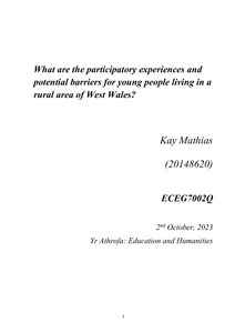 What are the participatory experiences and potential barriers for young ...